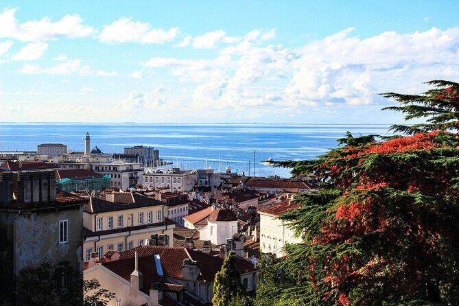 Trieste Hidden Gems Private Guided Walking Tour - Deep Dive into the Visit