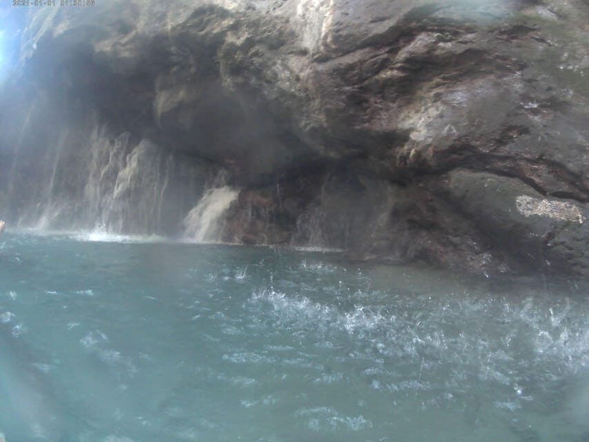 Trip to Kourtaliotiko Gorge and Preveli Beach - Authentic Insights from Reviewers
