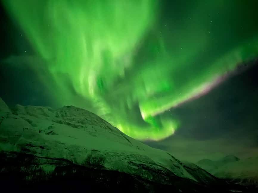 Tromsø: Full Night Magic of the Northern Lights - Final Thoughts: Who Is This Tour For?