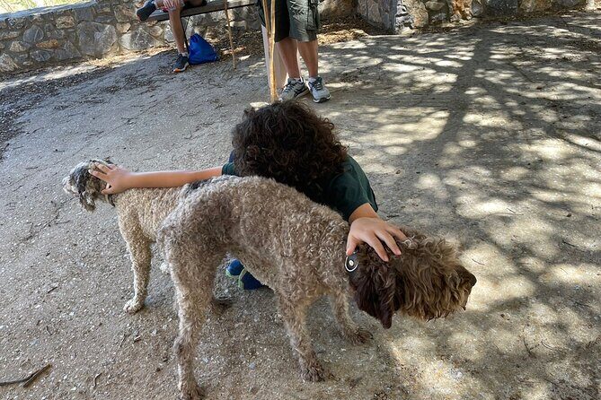Truffle Hunting, Culinary & Wine Celebration from Heraklion - Summary: Why This Tour Is Worth Considering