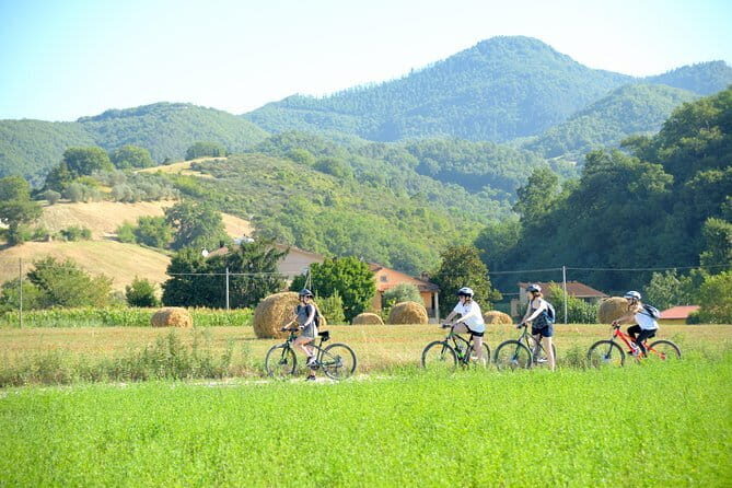 Tuscan countryside bike tour and food tasting - Why This Tour Works Well