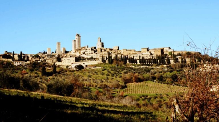 Tuscan Lunch & Winery Tour with Tasting in San Gimignano - Who Will Love This Tour?