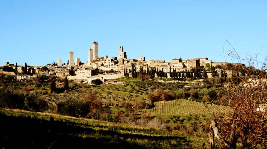 Tuscan Lunch & Winery Tour with Tasting in San Gimignano - Who Will Love This Tour?