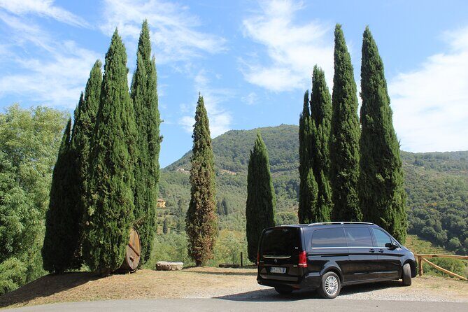 Tuscan Wine Tour in Pisa by van - What the Reviews Say