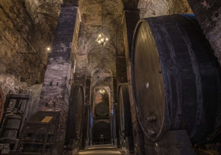 Tuscany: Self-Guided Video Tour with World's Top Experts - The Sum Up: Is This Tour Worth It?