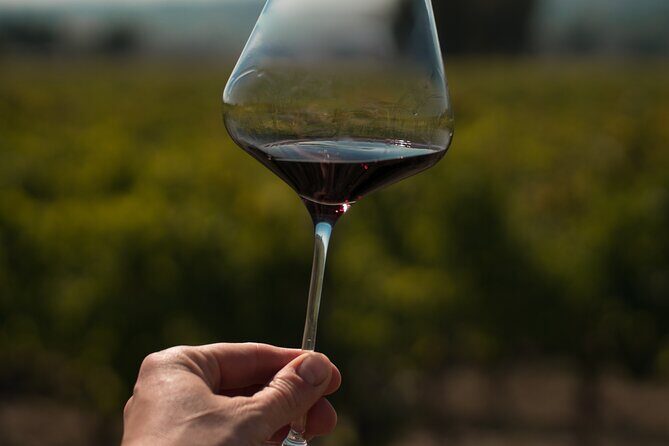 Umbria Mia: Tasting with the Winemaker and Tour of the Cellar. - A Thorough Look at the Umbria Mia Experience