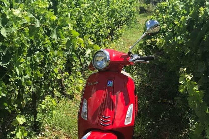 Vespa Motorcycle rental in Florence - Practical Details That Matter