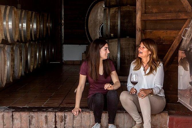 Vesuvio Gran cono + Wine Tasting & Lunch + Transfer from Naples - What to Expect from the Experience