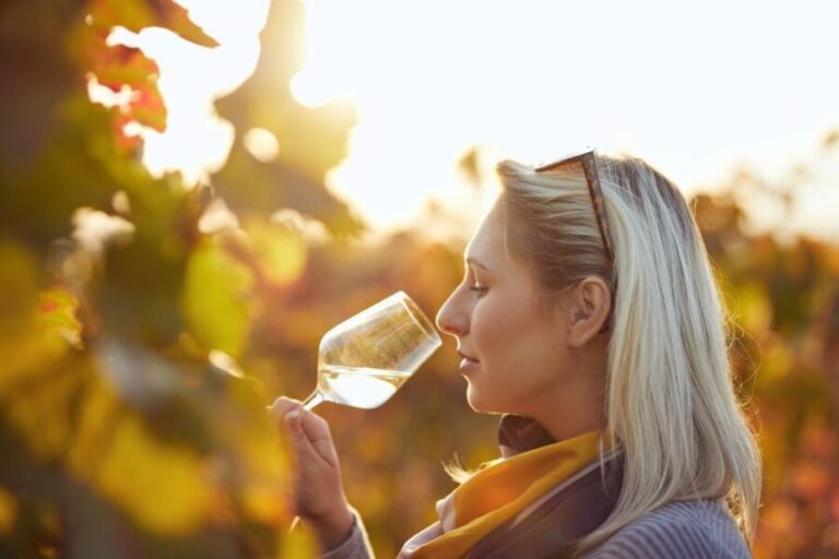 Vienna: Winery and Wine Tasting Tour with a Wine Expert - What Makes This Tour Stand Out?
