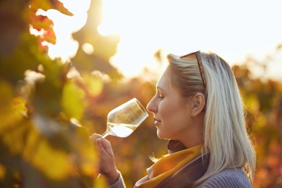 Vienna: Winery and Wine Tasting Tour with a Wine Expert - What Makes This Tour Stand Out?
