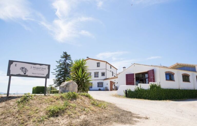Vilafranca del Penedès: Winery Visit with Tastings - The Authentic Touch: Local Flavors and Personal Service