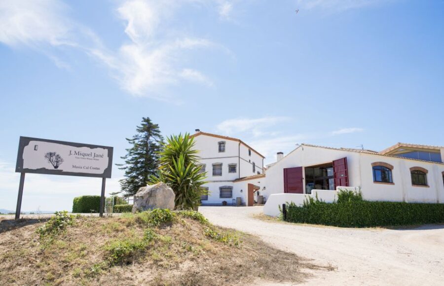 Vilafranca del Penedès: Winery Visit with Tastings - The Authentic Touch: Local Flavors and Personal Service