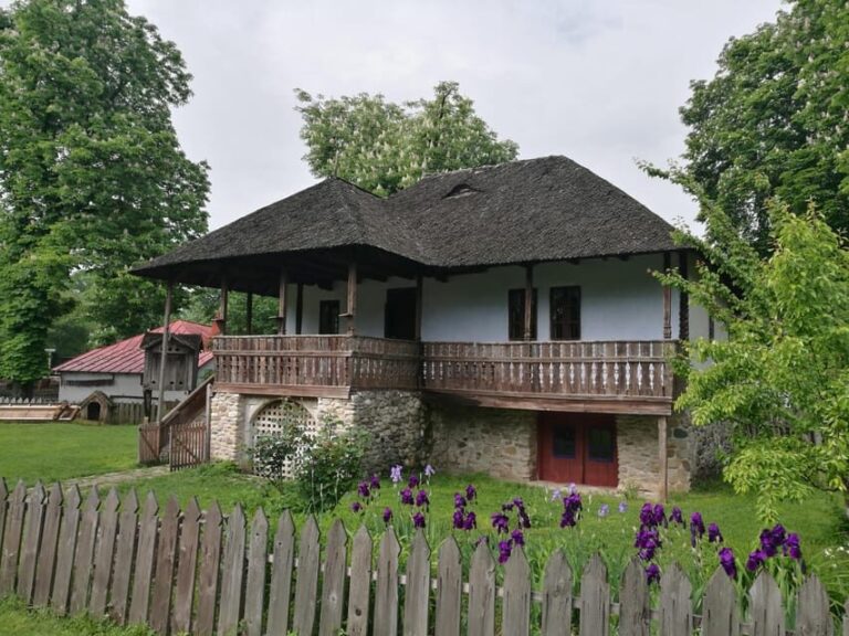 Village Museum Bucharest Guided Tour - Why This Tour Works Well for Different Travelers