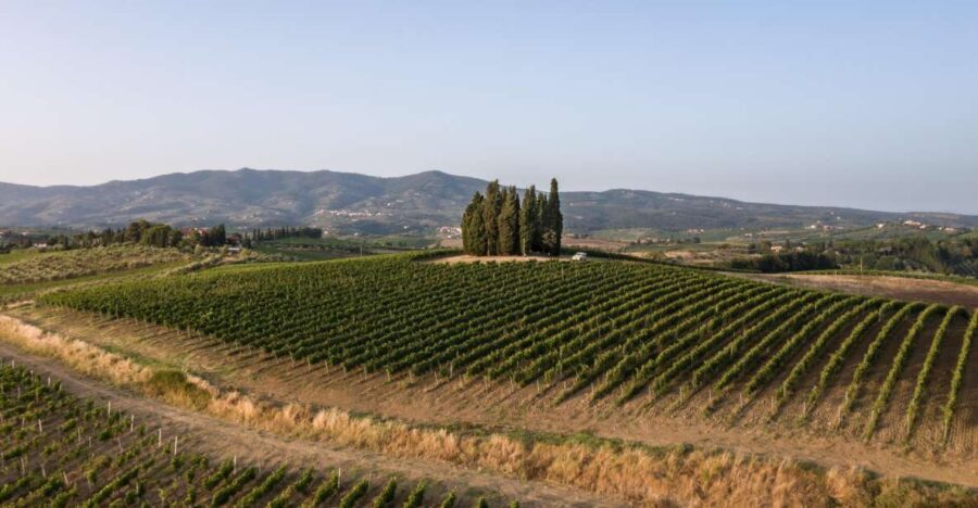 Vinci: wine-experience among the Tuscan hills - Who Should Consider This Tour?