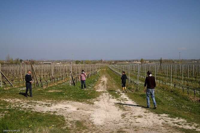Vineyard Tour and Tasting of Lugana Wines - FAQ