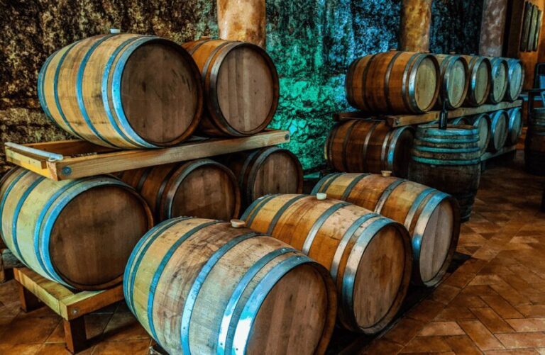 Vineyard Walk & Wine Tasting in the Berici Hills of Vicenza - Practical Details and Value