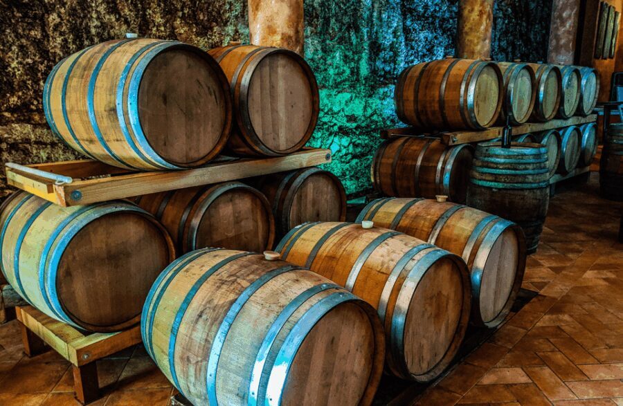 Vineyard Walk & Wine Tasting in the Berici Hills of Vicenza - Practical Details and Value