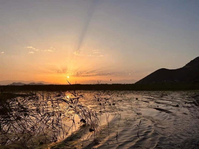 Virpazar Skadar Lake: sunrise and sunset cruise - The Practical Side: Pricing, Duration, and What’s Included