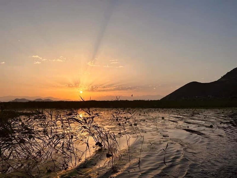 Virpazar  Skadar Lake: sunrise and sunset cruise - The Practical Side: Pricing, Duration, and What’s Included