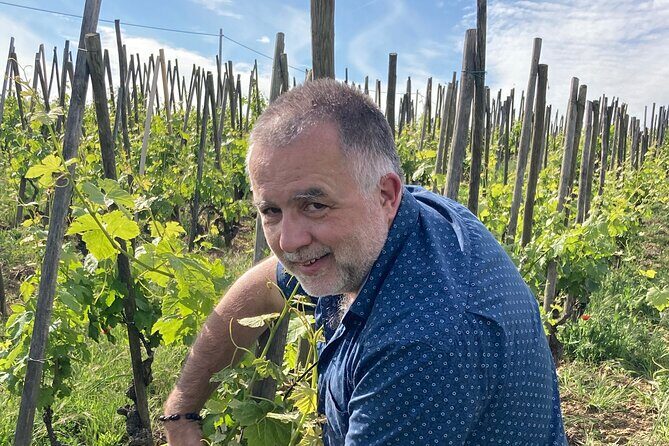 Visit and aperitif of the hills between Côte Rôtie and Condrieu - Authentic Experiences and Review Insights