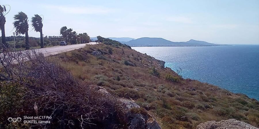 Visit the 10 best places in Rhodes with free Wine Tasting - Authentic Experiences and Practical Details