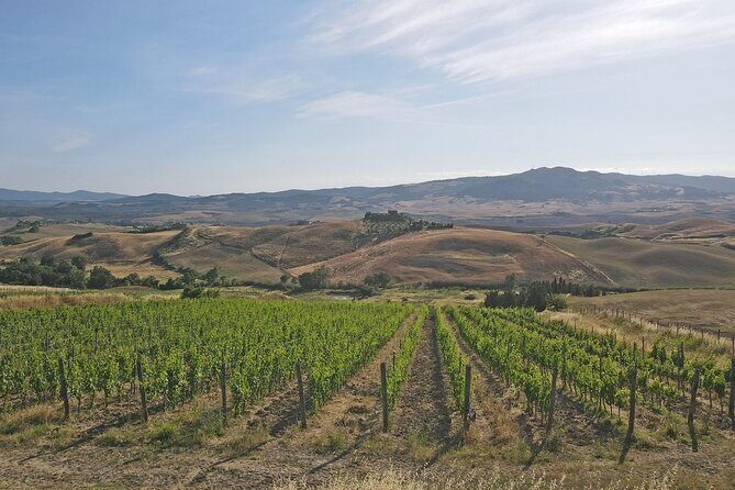 Volterra wines, sensory emotions of organic farming - What to Expect from the Tour
