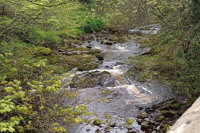 Walking Wildlife History Tour in Edinburgh - Practical Details: What Travelers Should Know