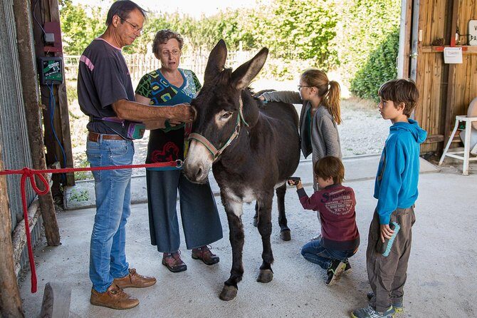 Walks and hikes with donkeys - Group Size and Practicalities
