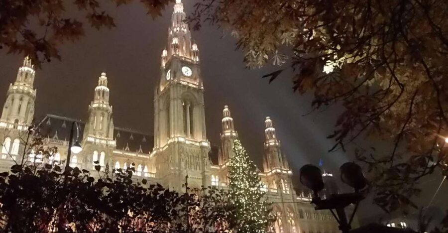 Wien: Tour with locals on the trails of the Christmas Tree - Authentic insights from past participants
