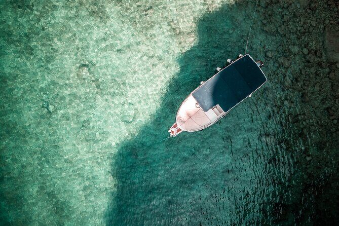 Wild Bays of Krk Island: A private half day boat tour - Additional Insights and Practical Tips