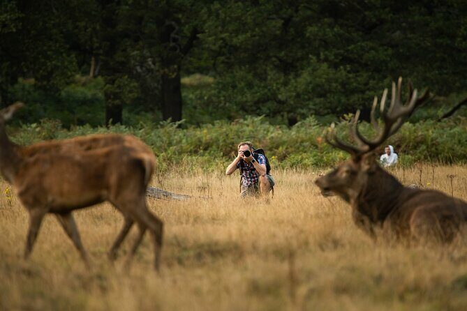 Wildlife Photography Workshop in Richmond Park in London - What You Can Expect to Capture