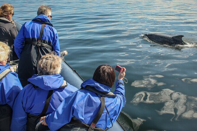 Wildlife Watching Boat Tour - Wildlife Hotspots and Marine Encounters