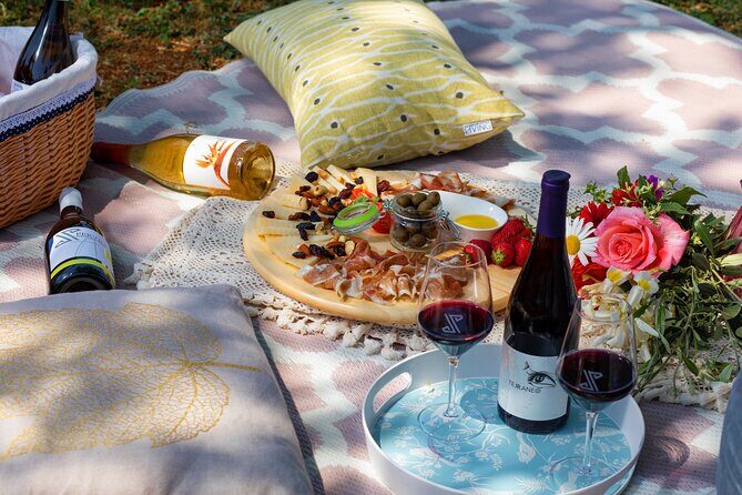 Wine picnic - An In-Depth Look at the Wine Picnic Experience