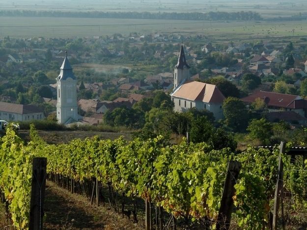 Wine taste in Tokaj Private Day Tour from Budapest - The Itinerary: What You Can Expect