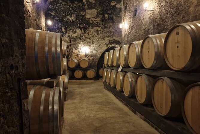 Wine Tasting in Montepulciano Tuscany Private Tour from Rome - Visiting an Ancient Wine Cellar