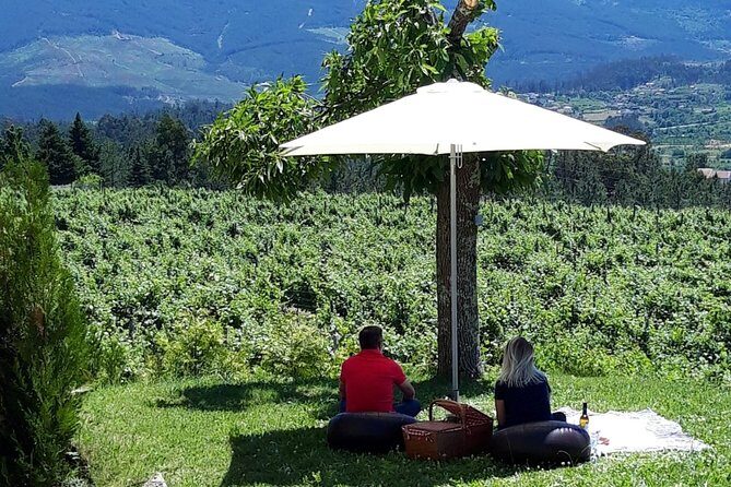 Wine Tasting & Lunch from Porto | Quinta de Santa Cristina - Authentic Insights from Reviewers