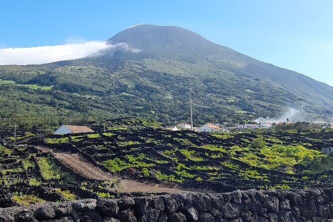 Wine tour and Tasting with a local Winemaker at Pico Island - Breathtaking Views at Lajido de Santa Luzia