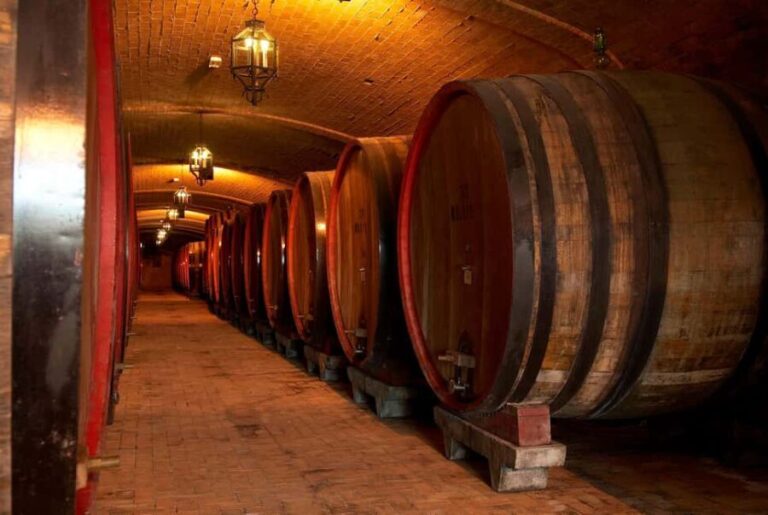 Wine Tour & Tasting TUSCANY - Discovering the Heart of Tuscany in a One-Hour Tour