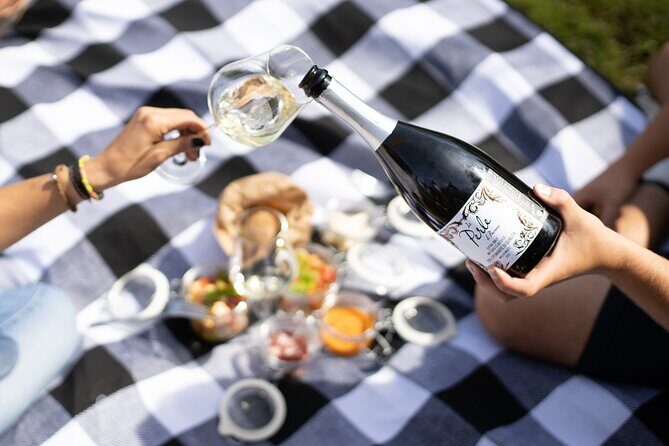 Winery Tour & picnic in the vineyard with a bottle of wine - The Sum Up