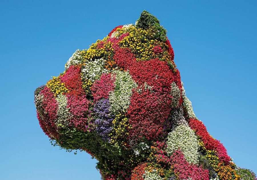 Puppy by Jeff Koons covered in flowers at Guggenheim Bilbao