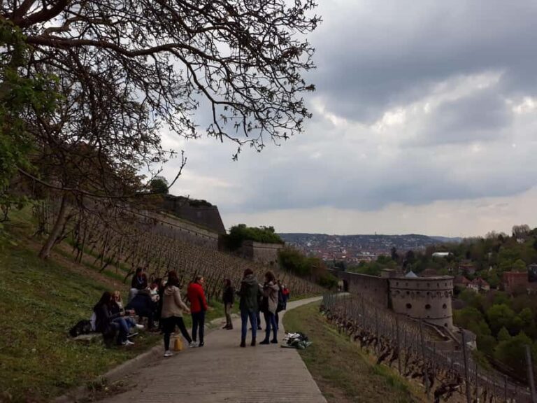Wuerzburg: Vineyard rally with wine tasting and group dynamics - Who Will Love This Tour?