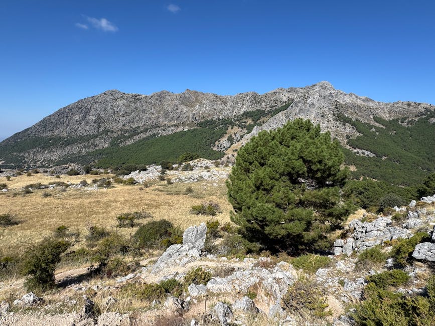 Mountain range in the Sierra de Grazalema Natural Park