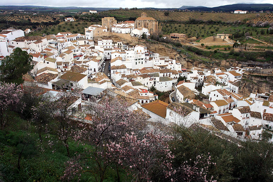 White houses under a rock overhang at Setenil de las Bodegas