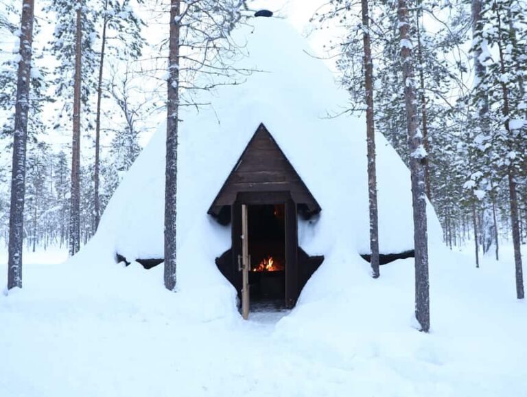 Ylläs:Snowmobile safari to forest kota with a family company - Why This Tour Offers Good Value