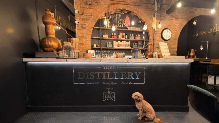 York: Gin Tasting Experience at York Distillery - Who Will Love This Tour?