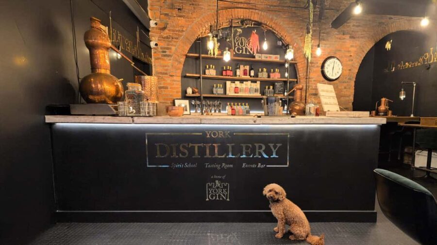 York: Gin Tasting Experience at York Distillery - Who Will Love This Tour?