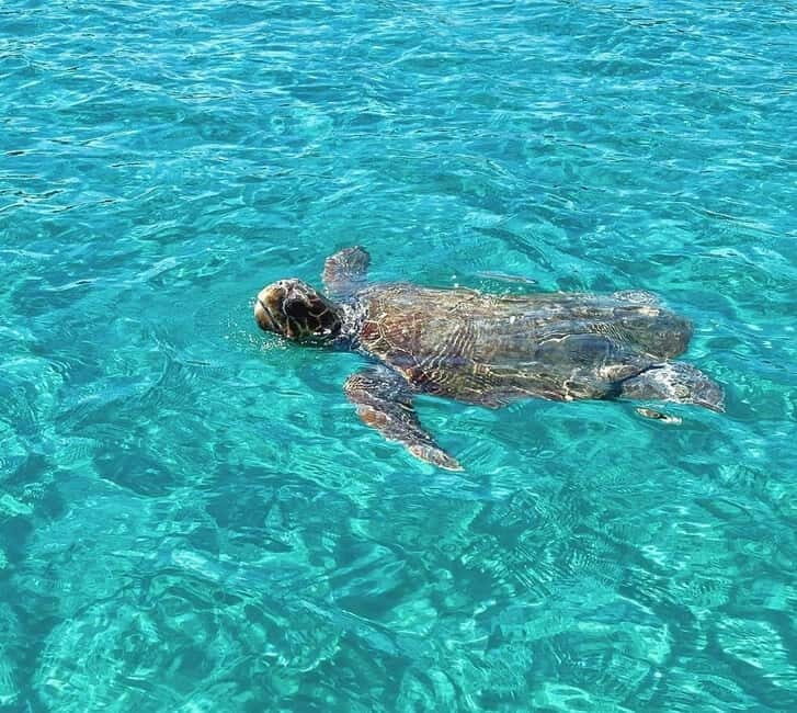 Zakynthos: Private Boat Tour with Captain - What’s Included & What to Keep in Mind