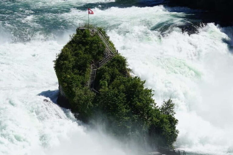 Zürich/Lucerne: Rhine Falls, Titisee & Black Forest Day Trip - Practical Details and Value